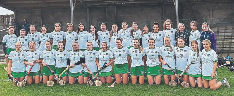 Limerick camogie teams look to push on after hugely successful opening ...