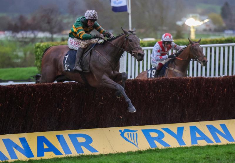 Bumper successes for Limerick racing connections on both sides of Irish ...