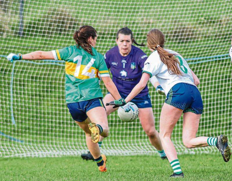 Limerick ladies set for league football semi-final - Limerick Live