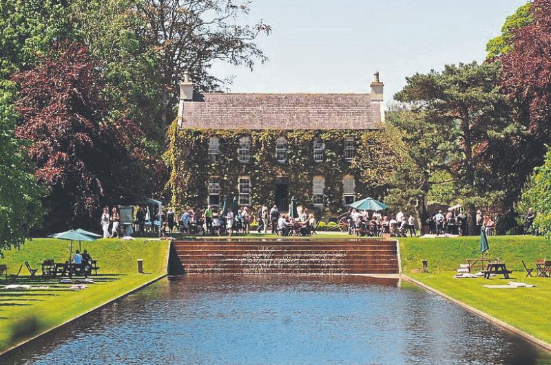 Spring is in full bloom with new festival - Limerick Live