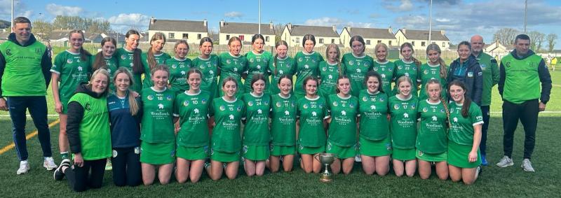 Limerick U16A camogie team capture back-to-back Munster Championship ...