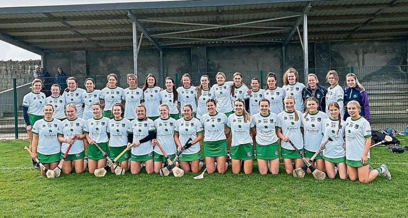 From underage All-Ireland glory to retaining senior status - Limerick ...