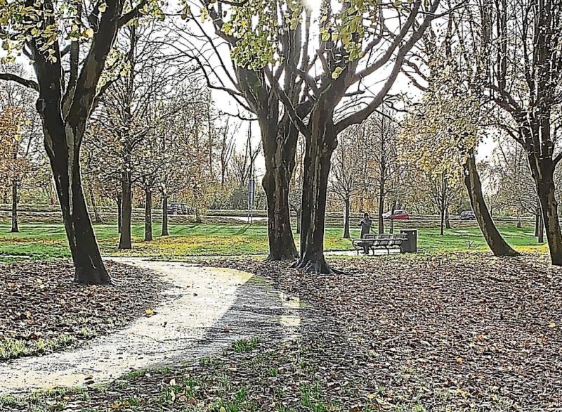 Calls for new bus stops near Limerick park - Limerick Live