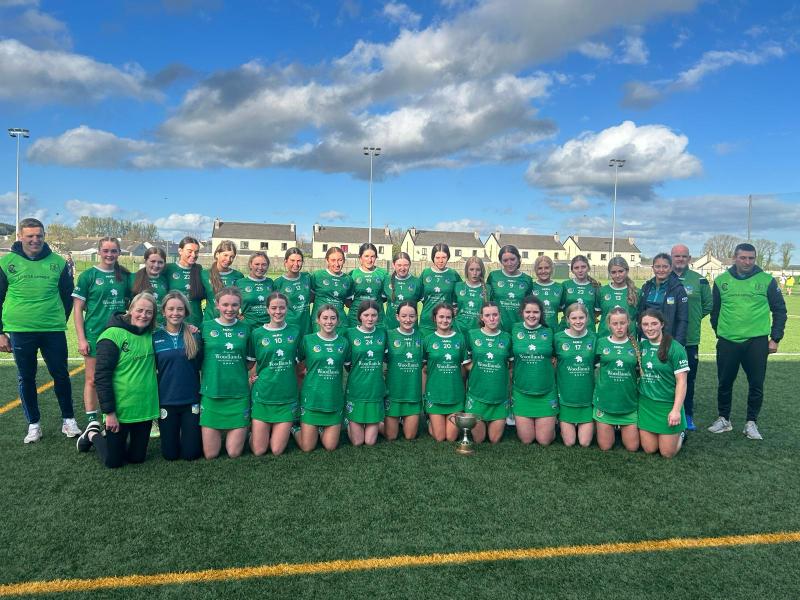 Limerick U16A camogie team continue All-Ireland Championship campaign ...
