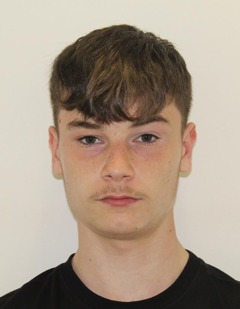 ALERT: Gardaí issue appeal to find missing teenager last seen at weekend - Limerick Live