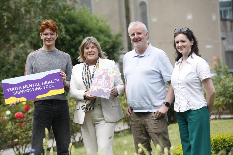 Online tool to help young Limerick people find mental health resources ...