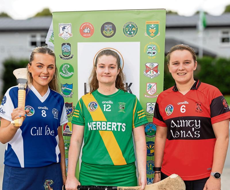 Limerick club camogie championships second round fixtures set to get ...