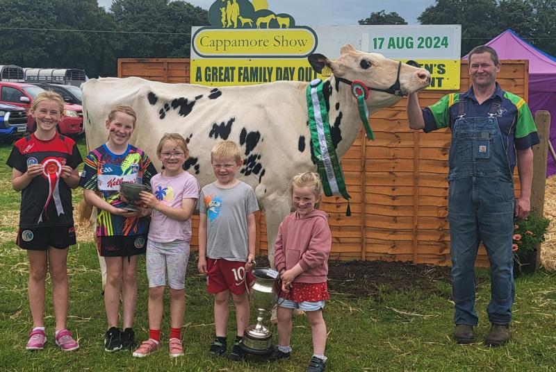 ‘Curtin’ not fallen yet on remarkable year for busy Limerick pedigree ...