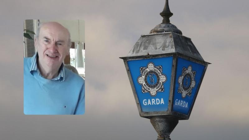ALERT: Gardai issue urgent appeal for help in locating elderly man missing in Dublin - Limerick Live