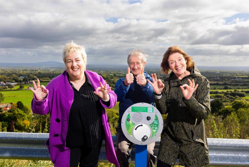 Culture and heritage installation unveiled on Limerick Greenway with ...