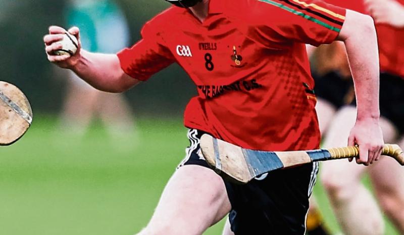 Four goals power John the Baptist Hospital to a Harty Cup victory over ...