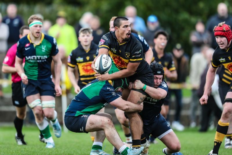 All-Ireland League: All six Limerick senior rugby clubs suffer defeat ...