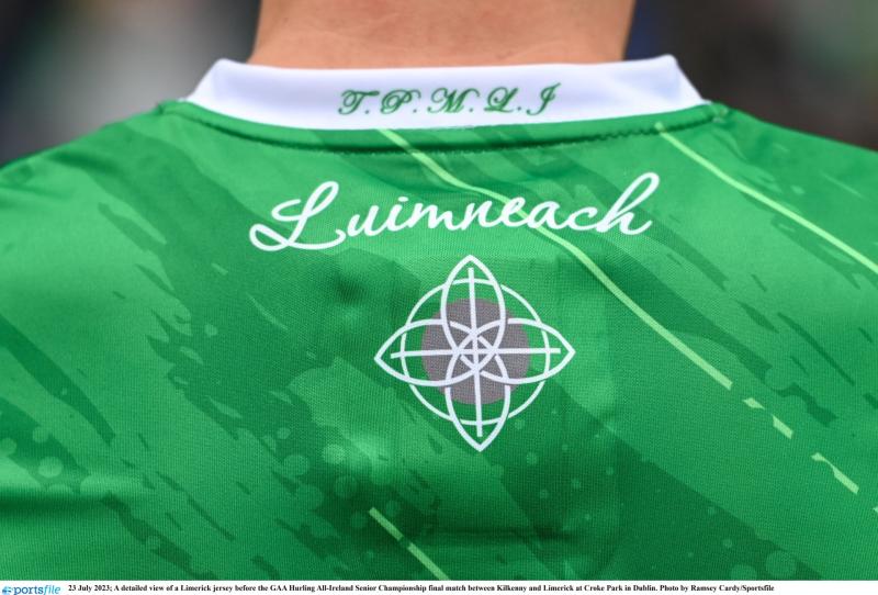 Limerick GAA clubs receive funding from Munster GAA Development Grants ...