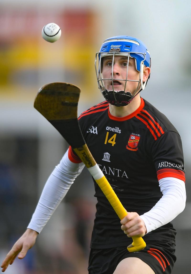 Venue confirmed for Ardscoil Rís' Harty Cup quarter-final - Limerick Live