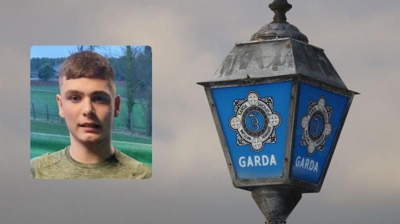 Search stood down for 17-year-old teen missing for over 2 weeks - Limerick Live