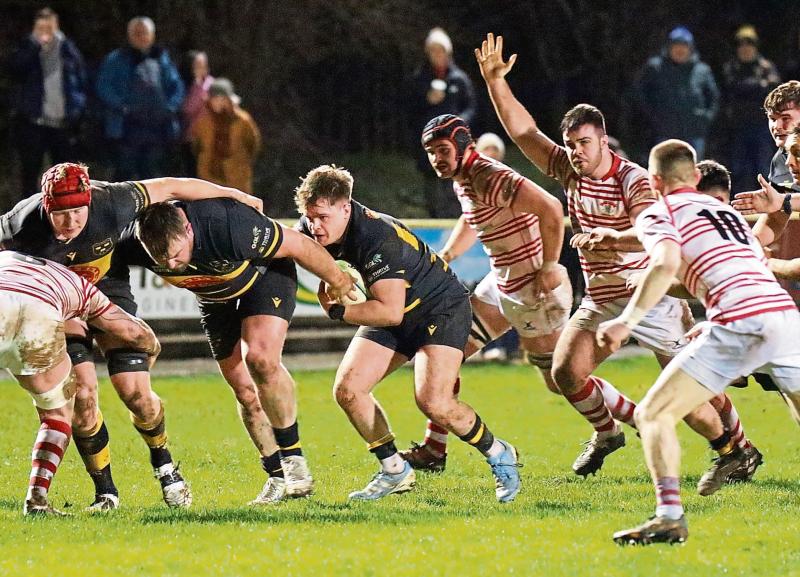 Limerick clubs face crucial All-Ireland League fixtures - Limerick Live