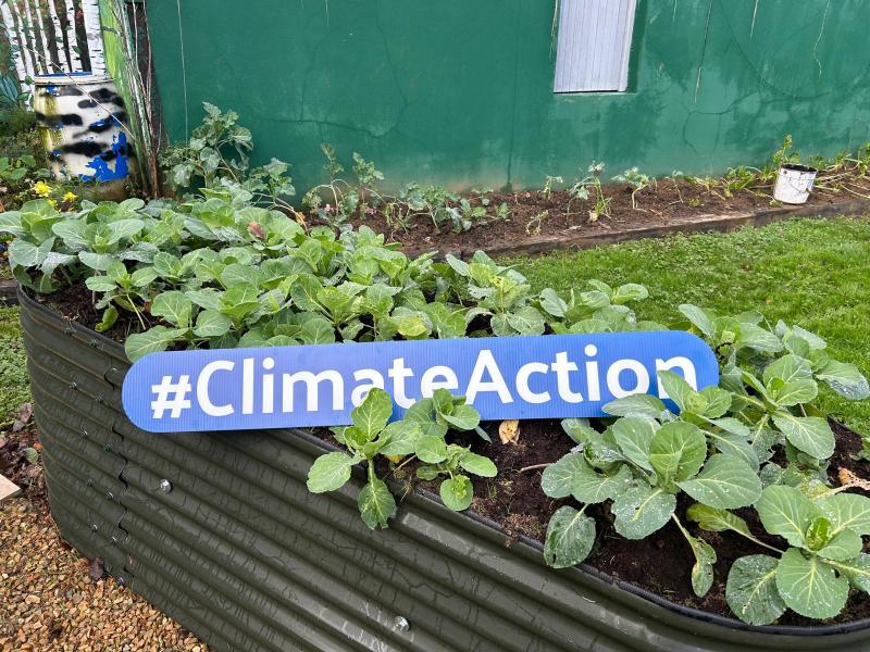 Green Limerick: Climate week promises mix of engaging events - Limerick ...