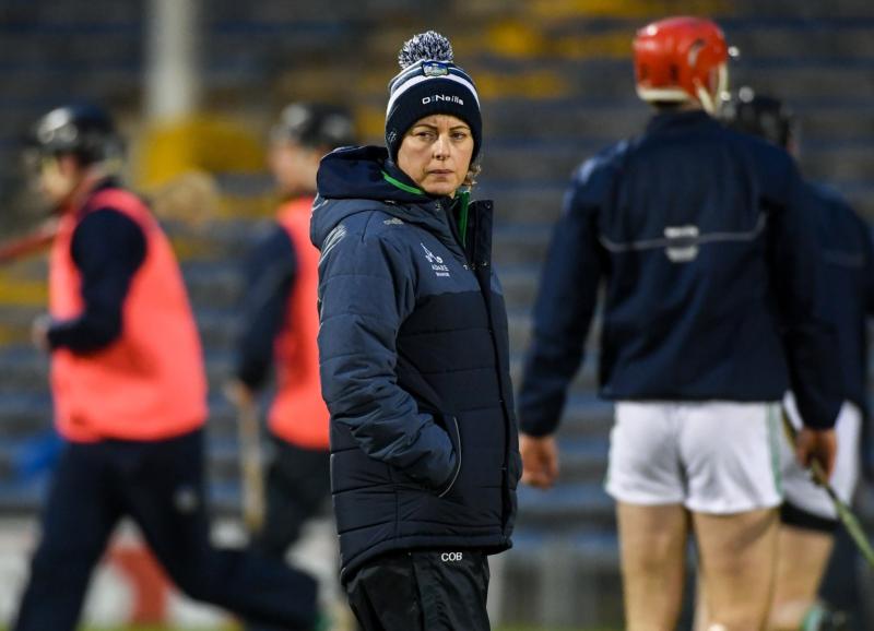 Former Limerick hurling psychologist joins Paul O'Connell's Irish rugby ...