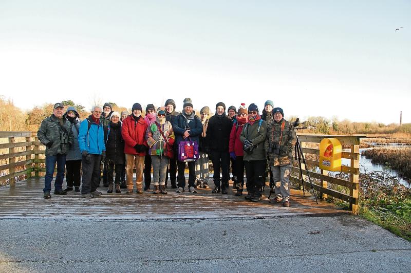 Frost, feathers and family traditions with Limerick Birdwatch ...