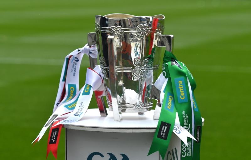 Limerick return Liam MacCarthy cup to Kilkenny for some TLC - Limerick Live