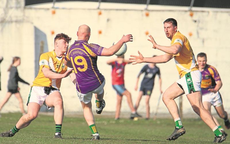 Limerick and Cork champions meet in Munster club junior football final ...