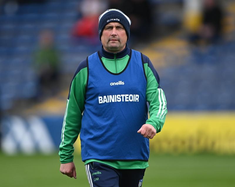 Two Limerick senior stars named in U20 hurling panel - Limerick Live