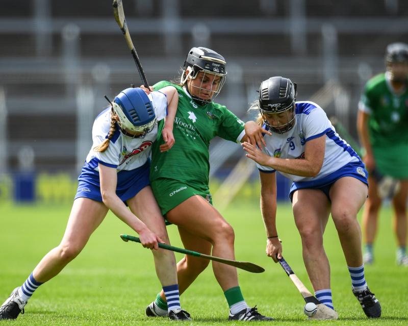 Limerick confirm senior camogie team for championship clash with ...