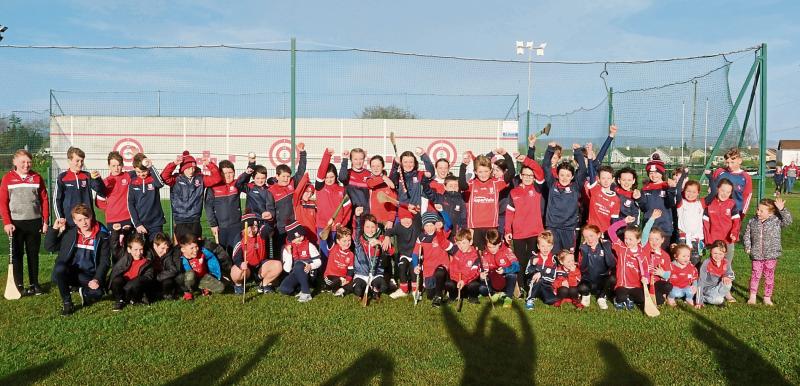 Local Limerick GAA community prepares for Croke Park hurling final ...