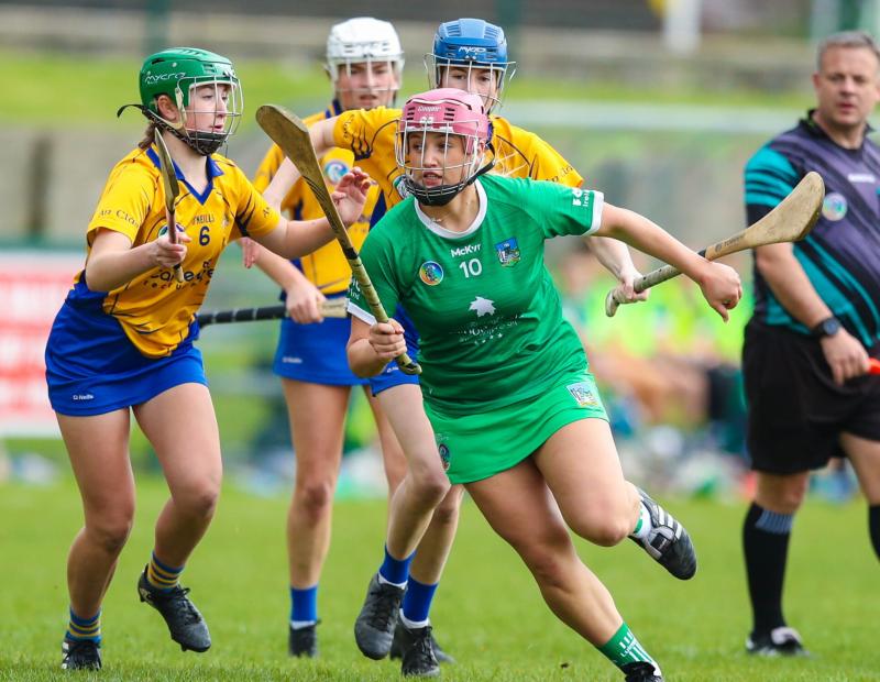 Limerick camogie reveal underage managements and panels for 2024 ...