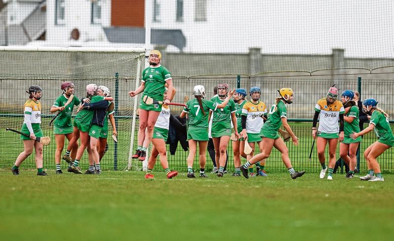Limerick senior camogie team begin All-Ireland Championship with trip ...