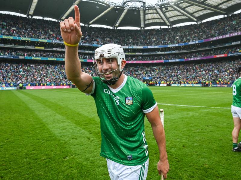 Three Limerick stars vie for Hurler of the Year gong at the 2023 All ...