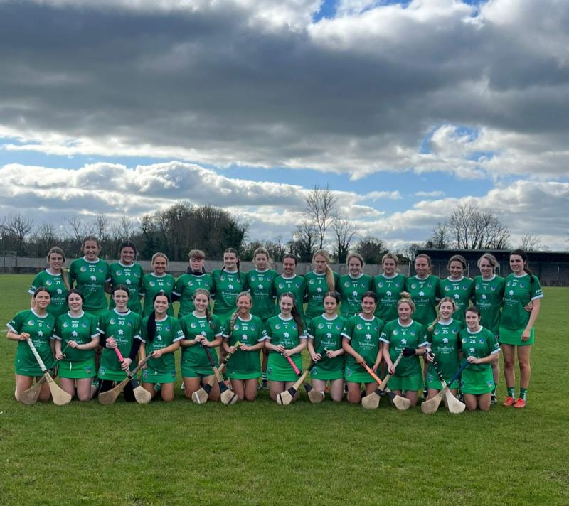 Limerick junior camogie side lose out to Antrim in league opener ...