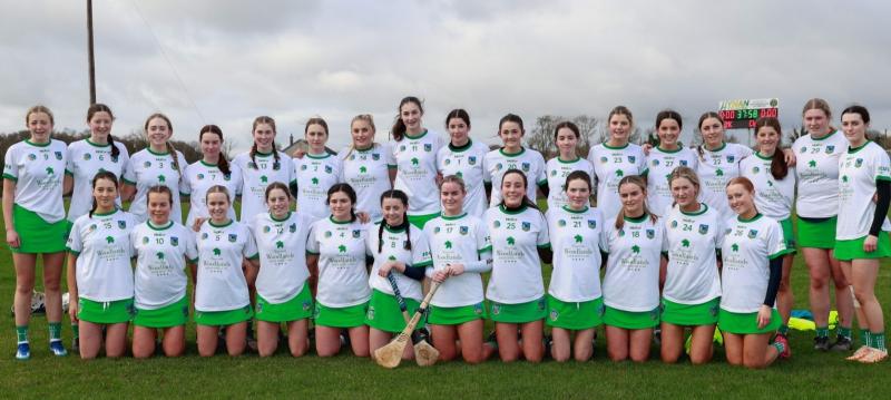 Limerick minor camogie team earn Munster quarter-final win over Clare ...