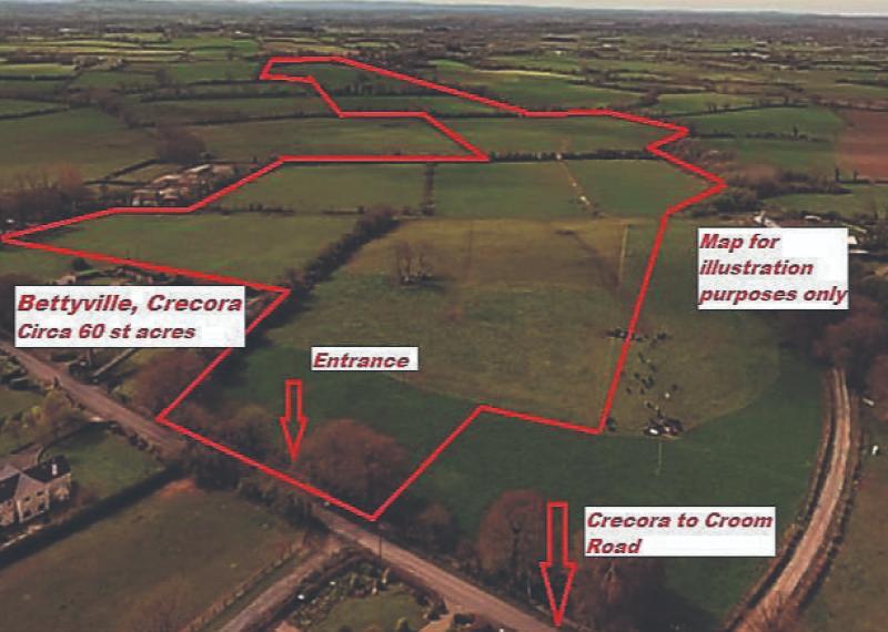 Limerick farm draws big interest from buyers - Limerick Live