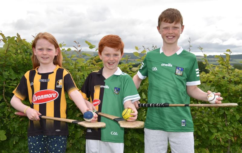 No family feud as Limerick and Kilkenny family play nice for big match ...