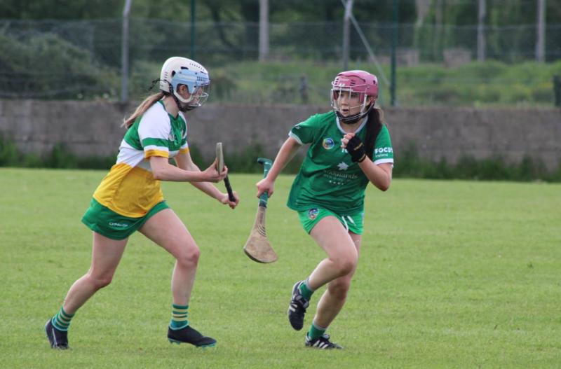 Limerick begin All-Ireland junior camogie championship with big win ...