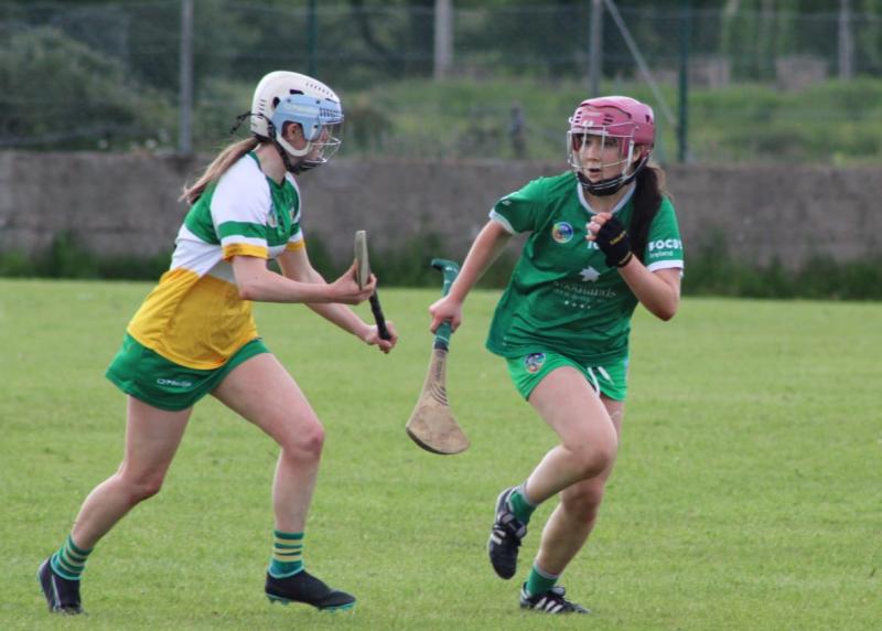 Limerick junior camogie team face Mayo in crucial fixture - Limerick Live