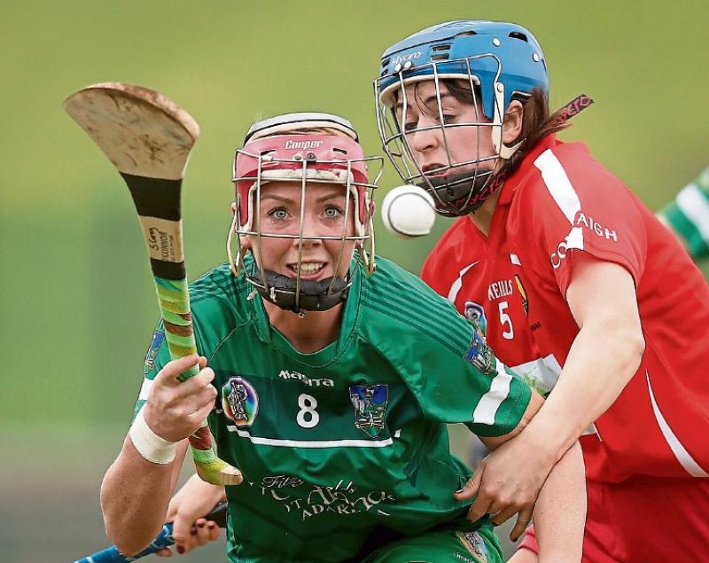 Quaid names Limerick senior camogie squad for league campaign ...