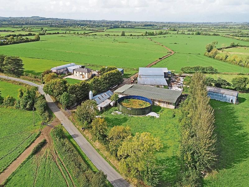 Limerick dairy farm in a million on the market for €2.5m - Limerick Live
