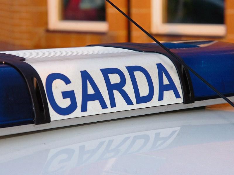 Limerick farmers urged to ring gardai if they see trespassers on their ...