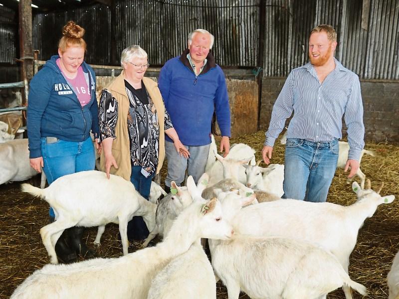Limerick farm family embarks on new cheesy venture - Limerick Live