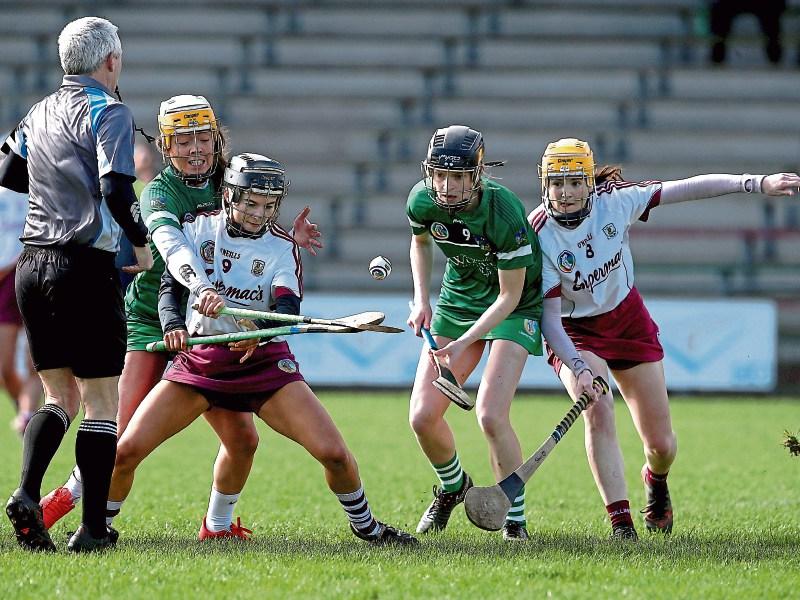 Limerick Camogie side meet the league champions - Limerick Live