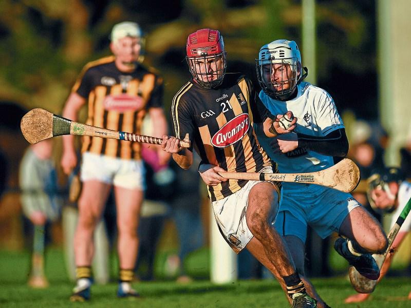 Cappamore’s Cat aims to get claws into Limerick - Limerick Live