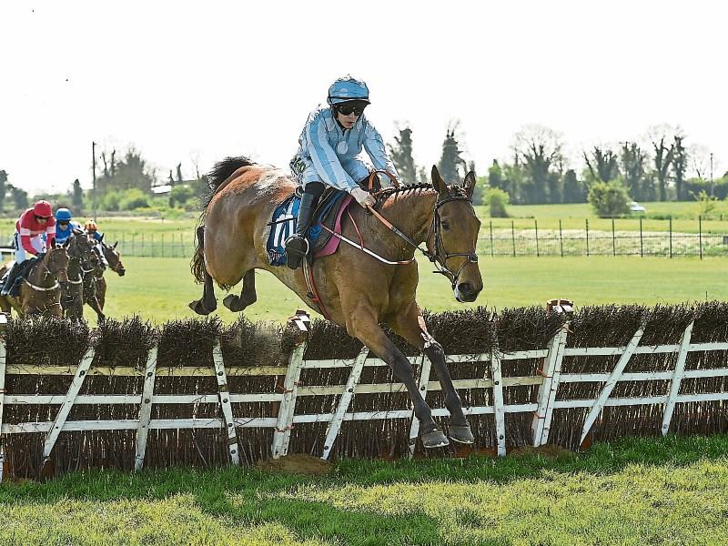 Betting: Plenty to like about Honeysuckle in the Hatton’s Grace - Colm ...