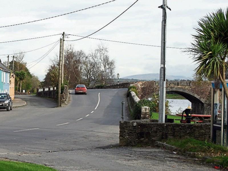 Wild About Wildlife: 'Exploring O’Brien’s Bridge' - Limerick Live