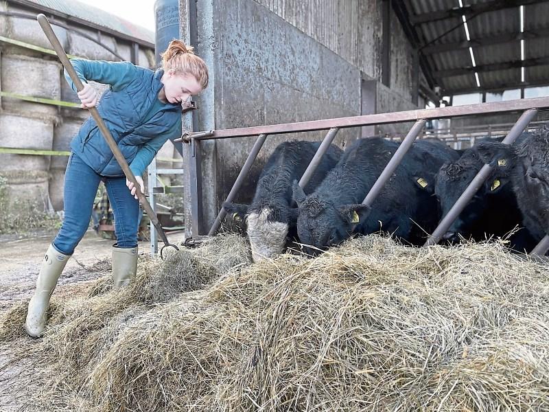 Limerick's Méabh answers farming's ‘call’ - Limerick Live
