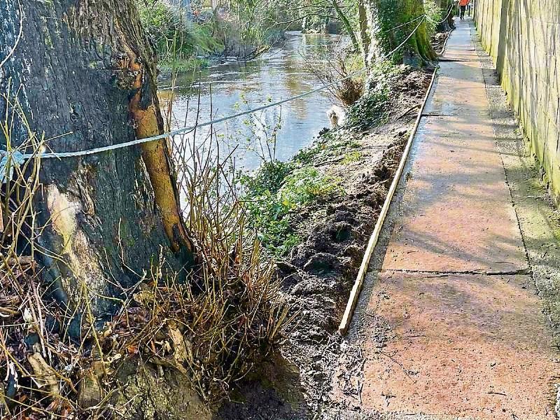 Popular Limerick walkway to close for upgrade - Limerick Live
