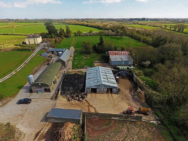 95-acre Limerick farm sells for over €1.3m - Limerick Live