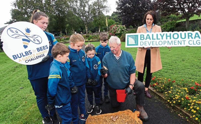Light-bulb moment: Pollination project launched in Limerick village ...