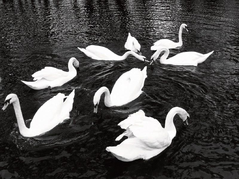 Tony Rodgers' photographic exhibition opens at Friars' Gate - Limerick Live